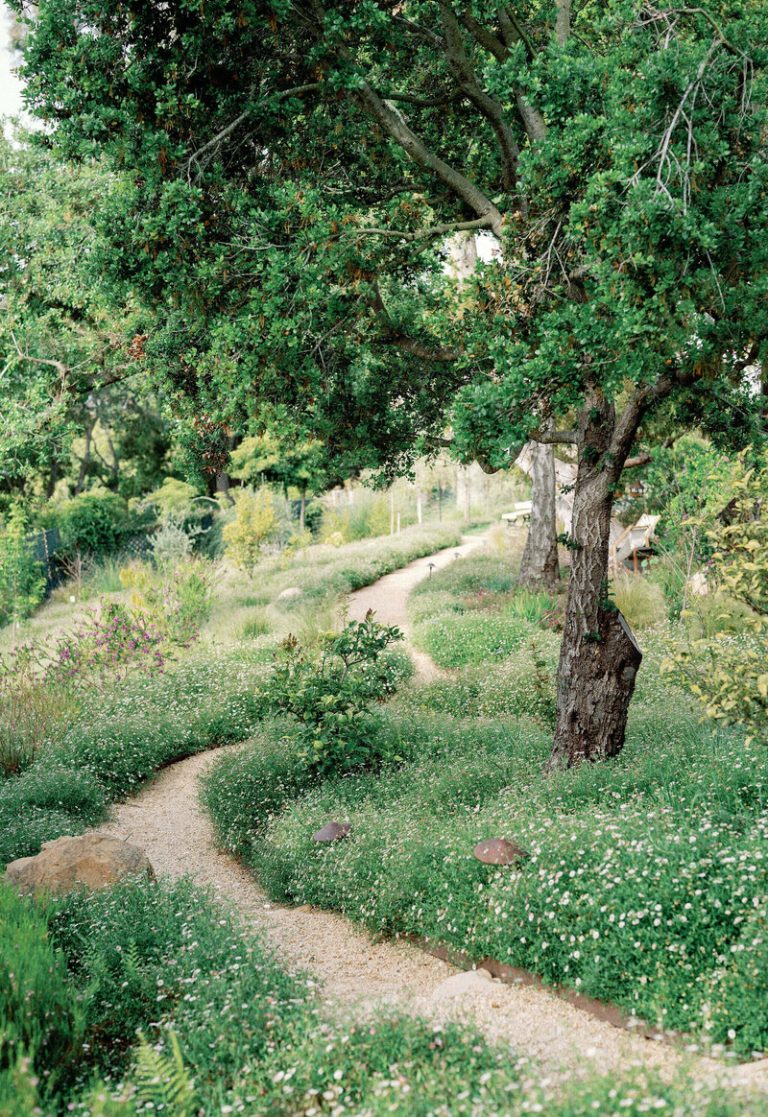 Kelly and Aaron | Emily Coyne Events